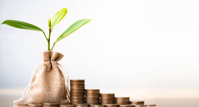 What Is Capital Growth? - loans.com.au